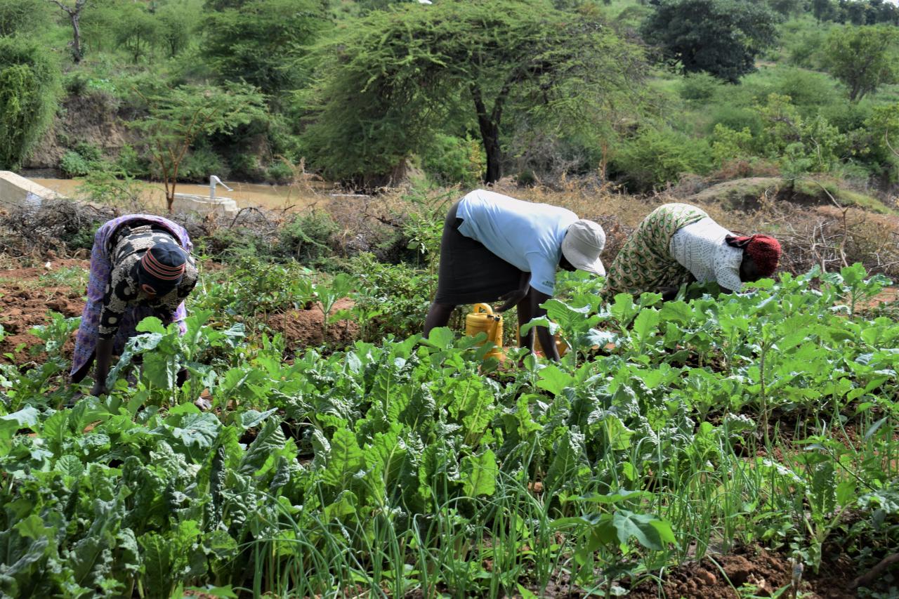 Sand dams provide drinking water and food safety | arche noVa ...